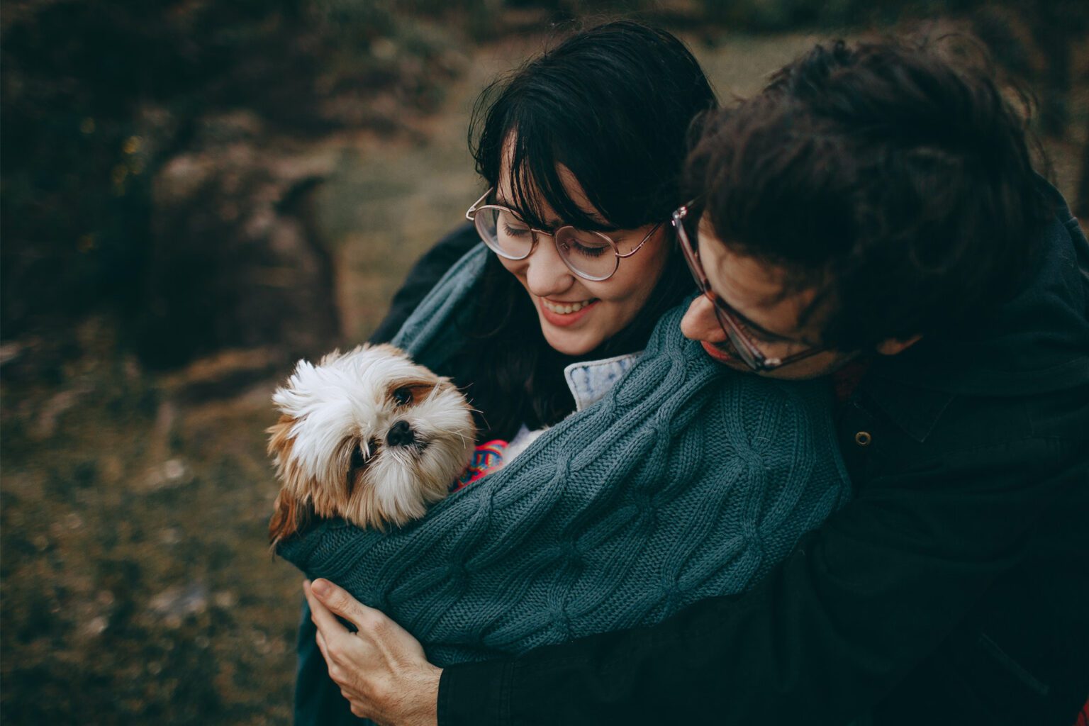The Ultimate Pros And Cons Of A Shih Tzu | Shih Tzu Pedia